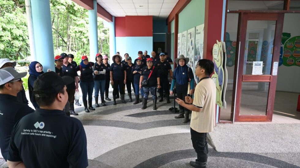 Mangroves: More Than Just Trees - Sabah Energy Corporation Sdn Bhd