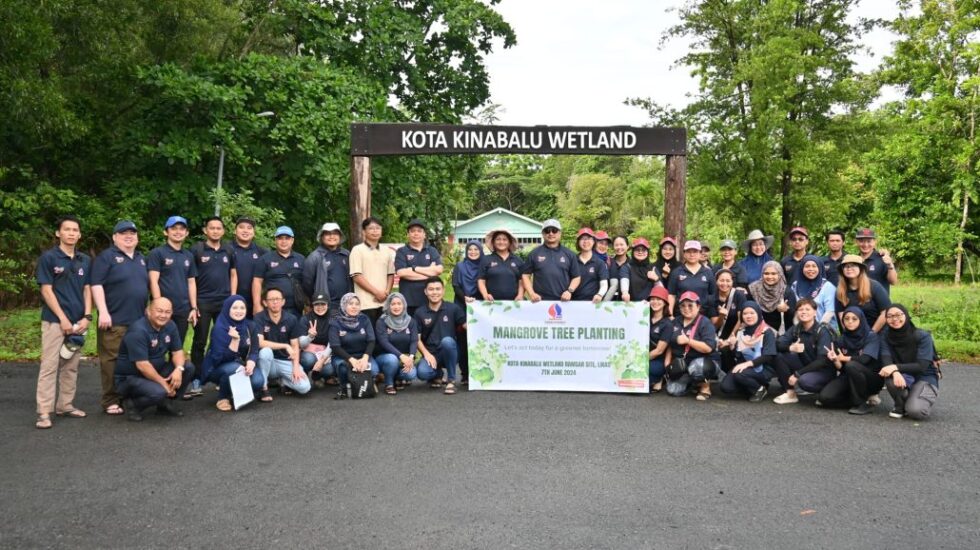 Mangroves: More Than Just Trees - Sabah Energy Corporation Sdn Bhd